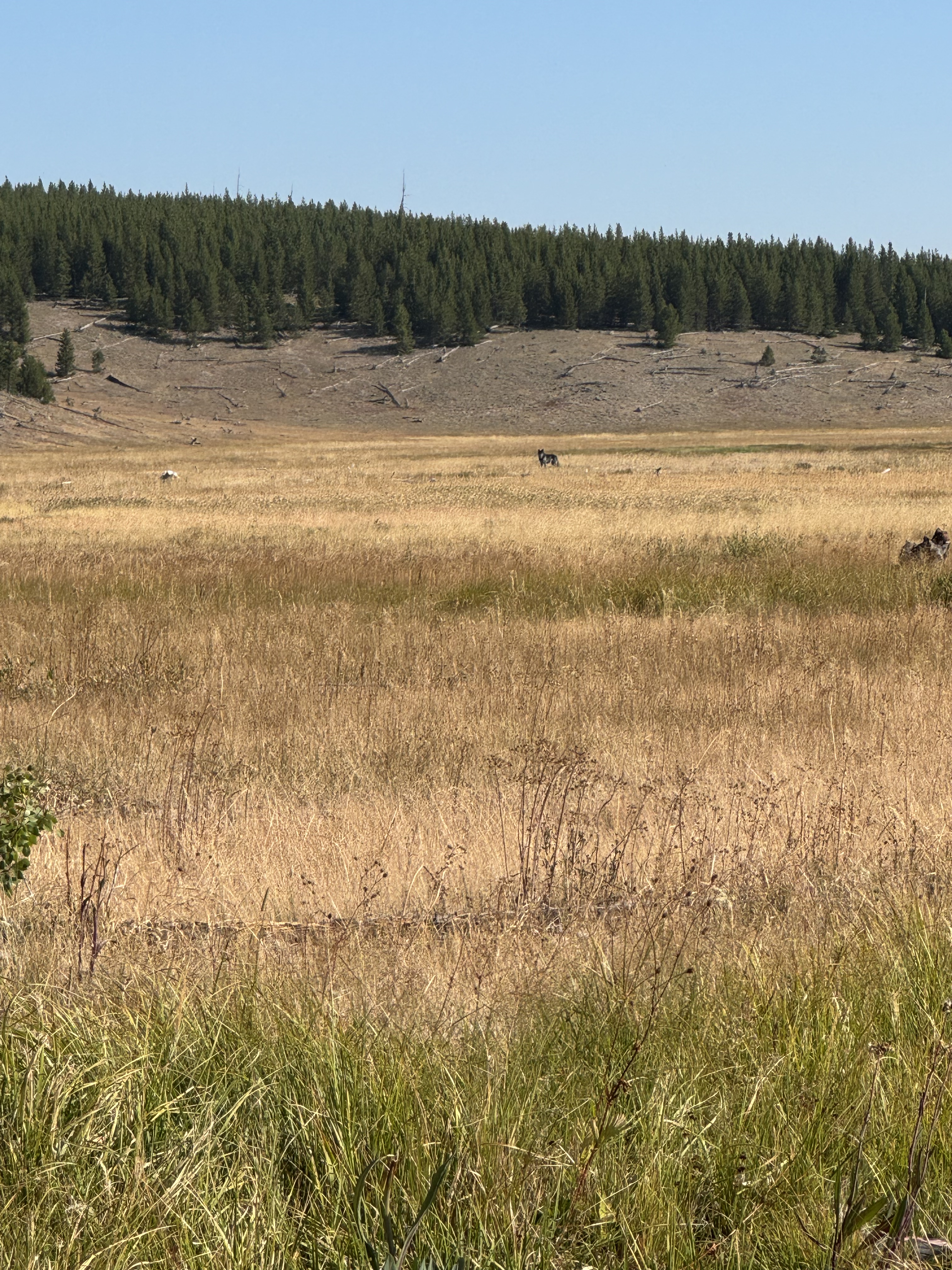 SEPTEMBER NEWSLETTER-Yellowstone National Park backpacking, hiking ...